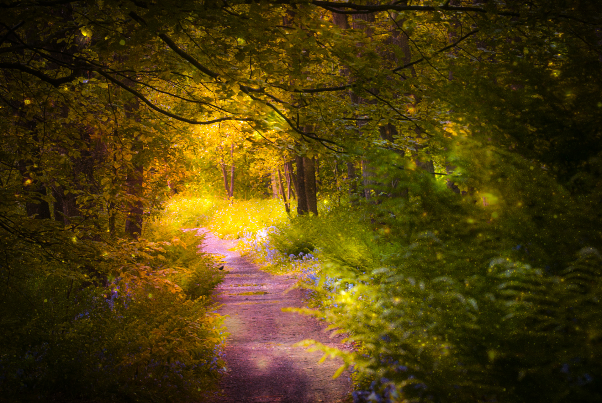 The Oak Tree Factory